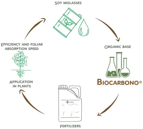 Biocarbono - CJ Selecta